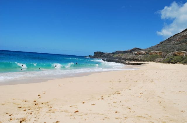 7 Best Reasons to Visit Sandy Beach Oahu