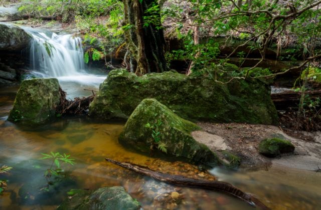 8 Best Reasons to Vist Waimano Falls Oahu