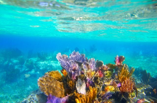 Discovering The Mermaid Cave in Oahu: 7 Reasons To Visit - My Hawaiian ...