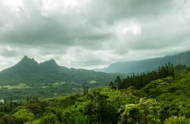 Three Peaks Hike Oahu: Everything You Need to Know! - My Hawaiian Adventure